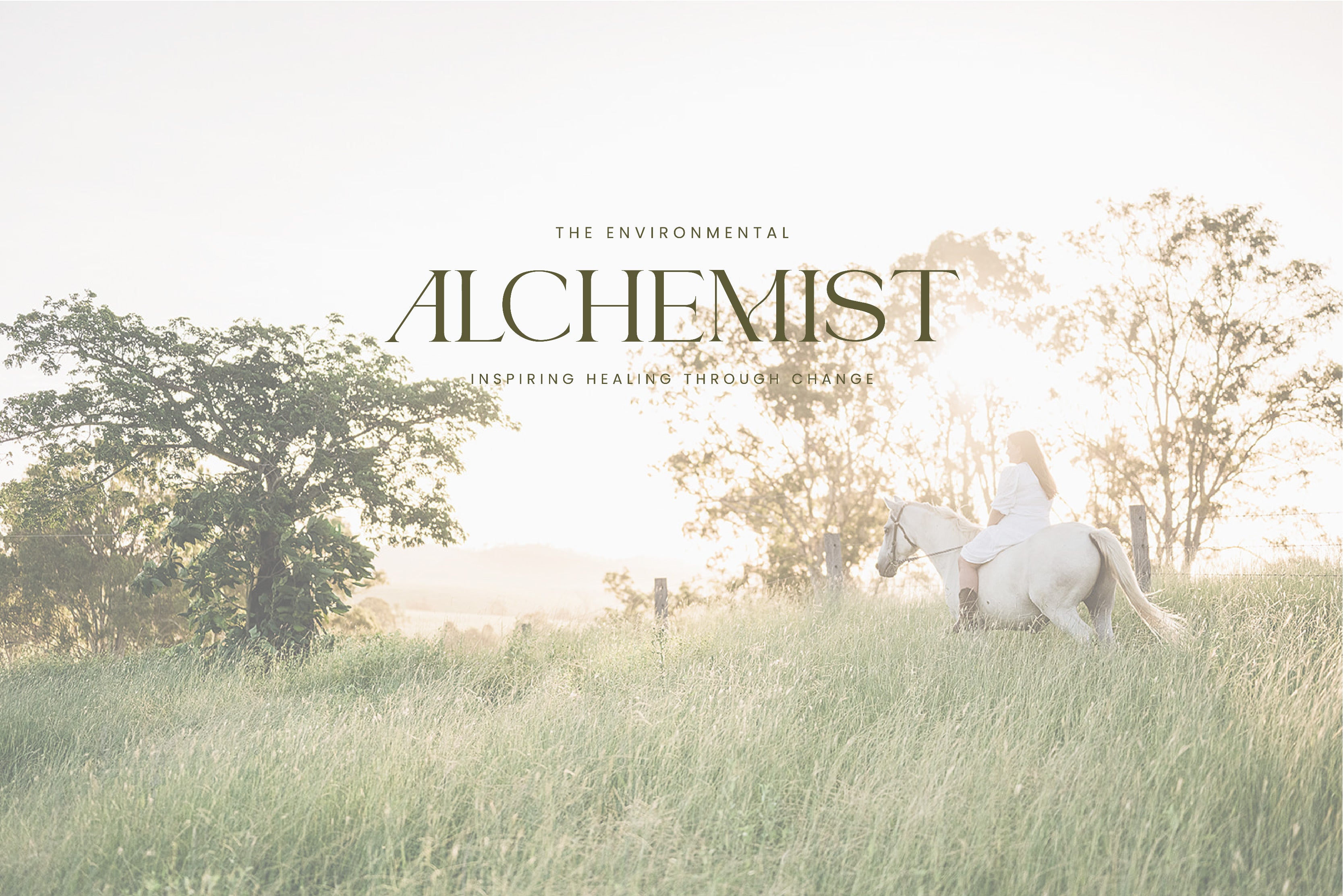 The Enviromental Alchemist – The Environmental Alchemist